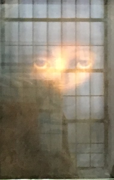 Holy Face Novena 2023 – Day Five – Illumina Domine Blog – Devotion to ...